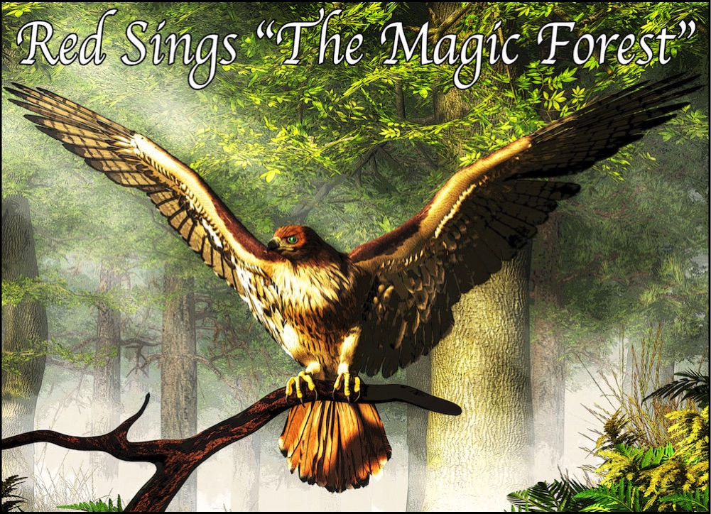 The Magic Forest Songs